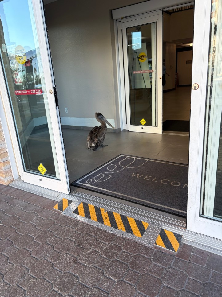 First Cruise of 2026 – worldofweeks